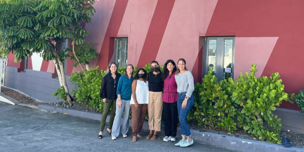 Young V - V Architecture